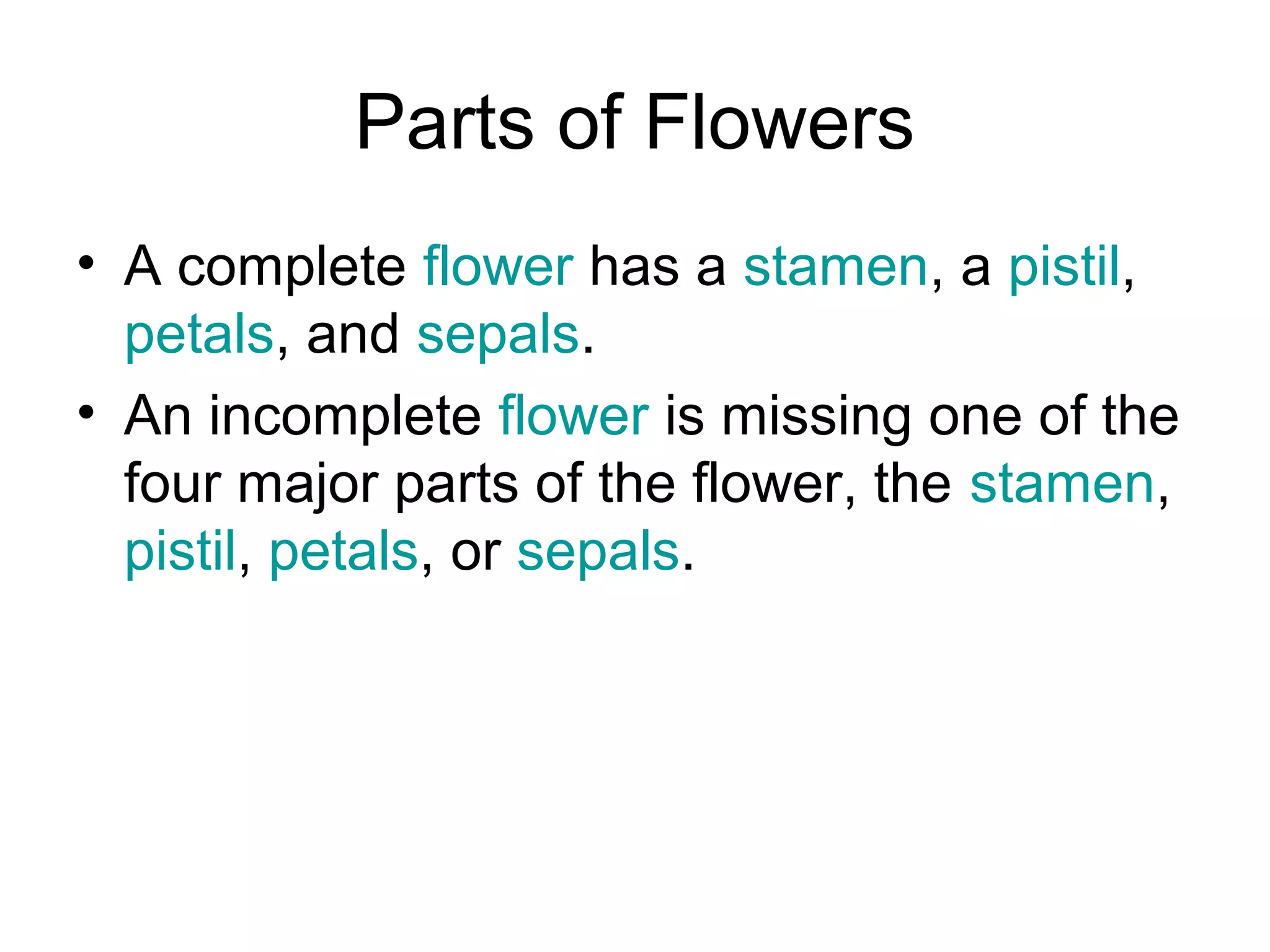 Flower description | PPT