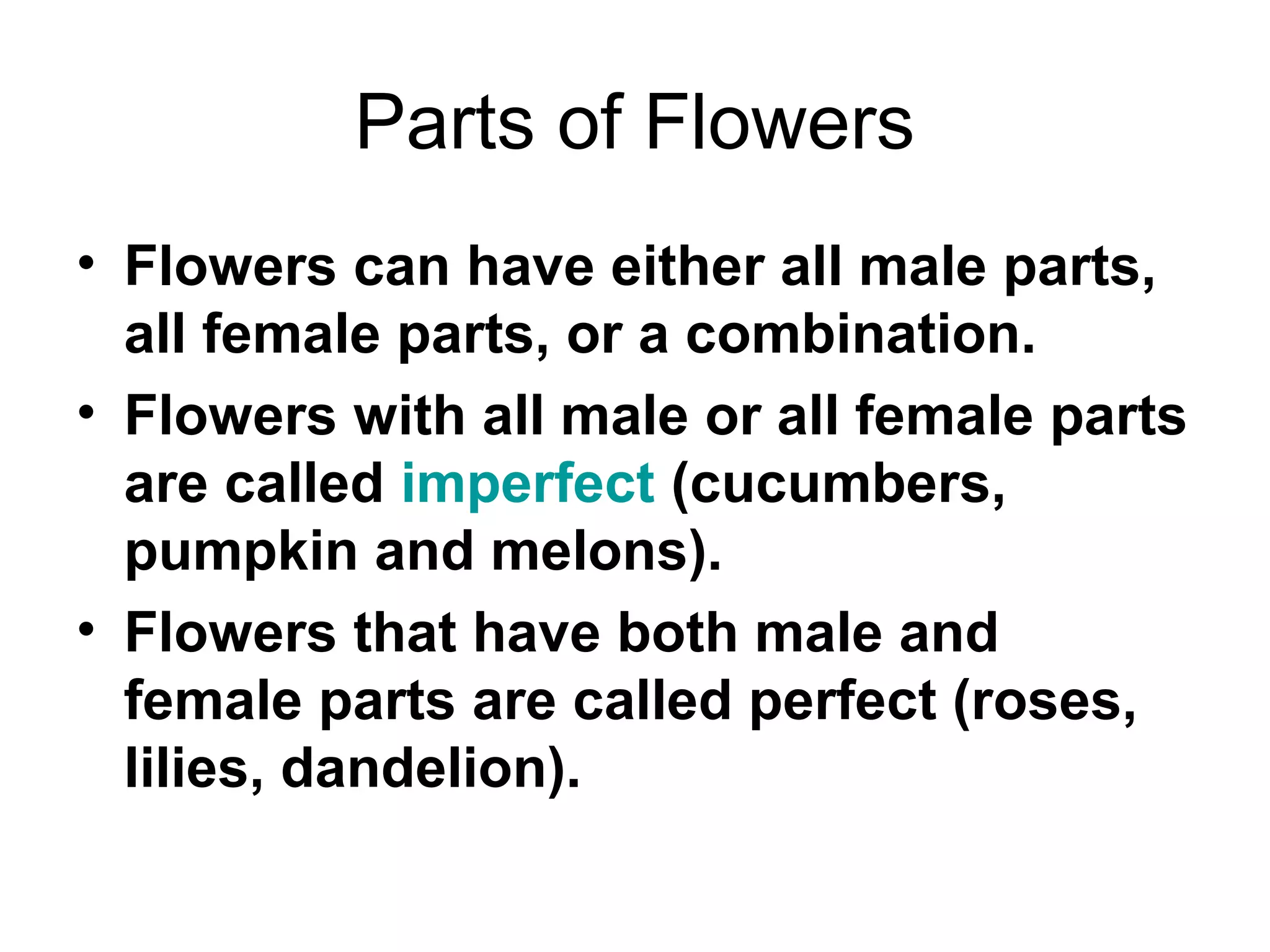 Flower description | PPT