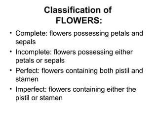 Flower description | PPT