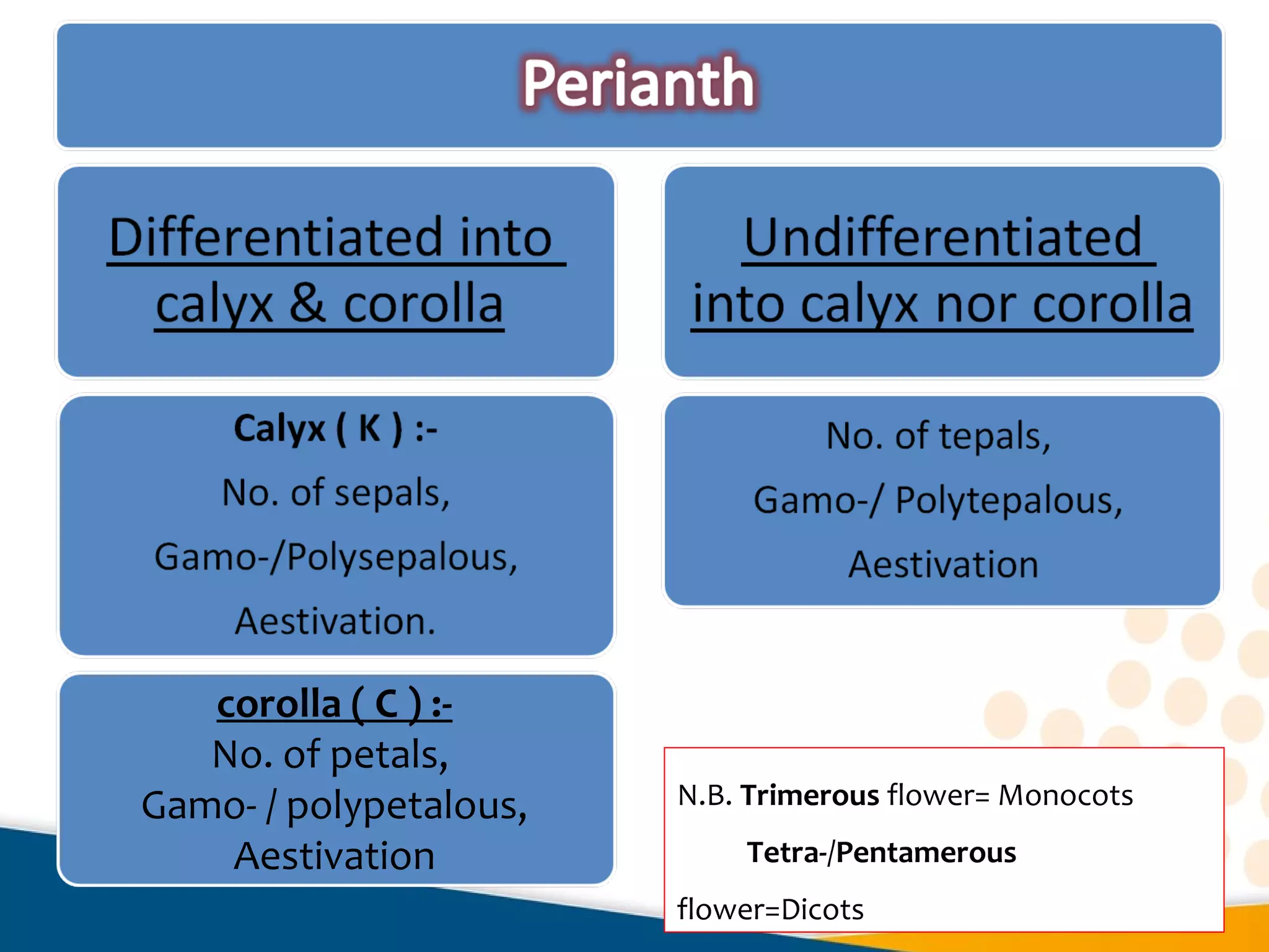 How to describe a flowering plant | PPT
