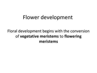 Flower development | PPT