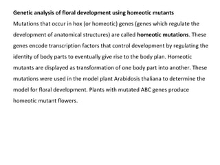 Flower development | PPT