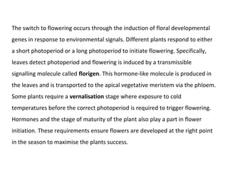 Flower development | PPT