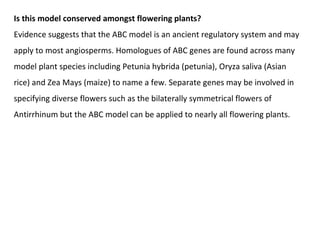 Flower development | PPT