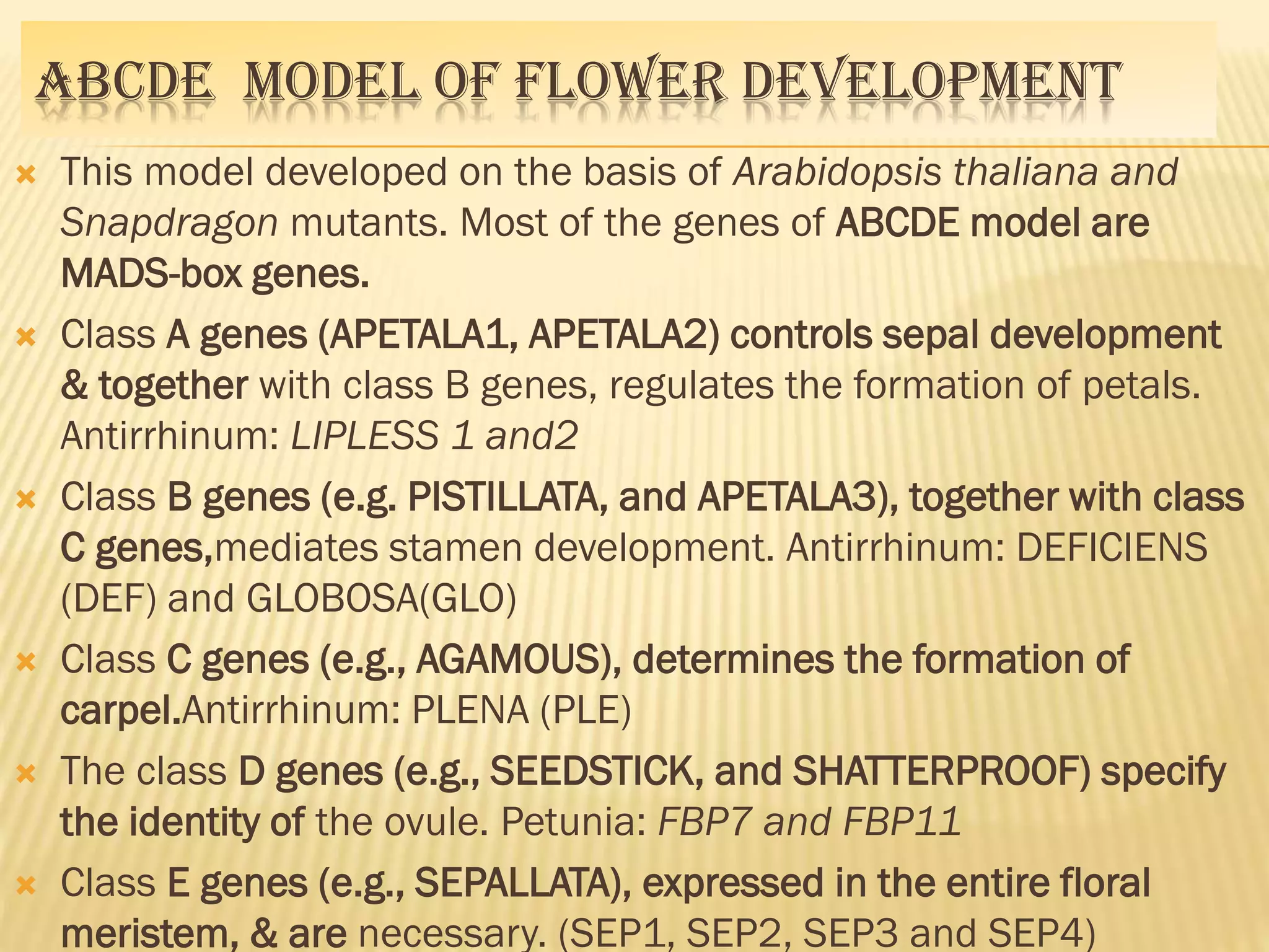 Flower development | PPTX