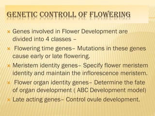 Flower development | PPTX