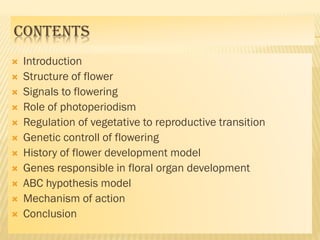 Flower development | PPTX