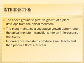 Flower development | PPTX