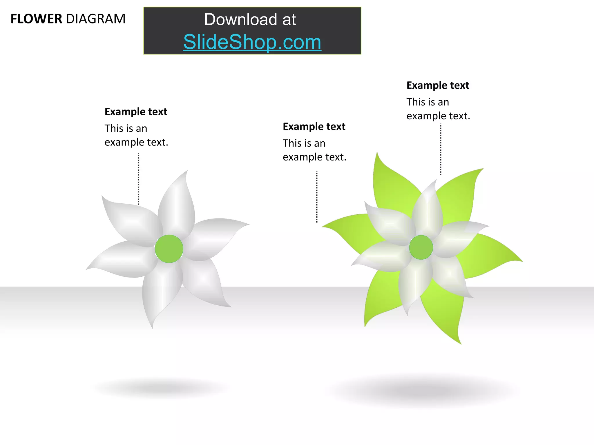 Flower diagram | PPT