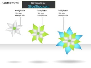 Flower diagram | PPT