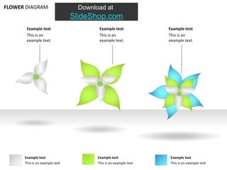 Flower diagram | PPT
