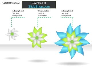 Flower diagram | PPT