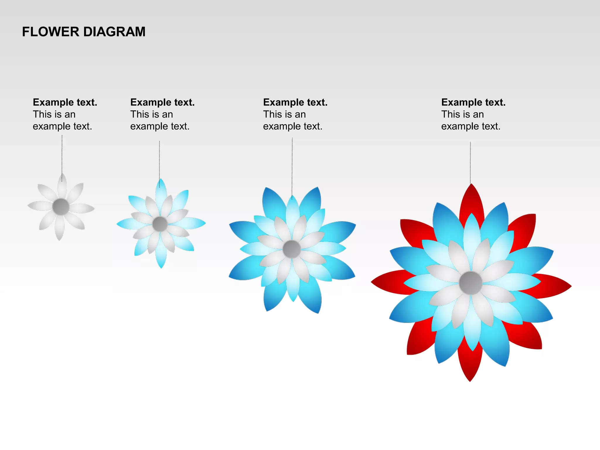 Flower Stages Diagram for PowerPoint | PPT