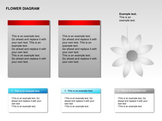 Flower Stages Diagram for PowerPoint | PPT