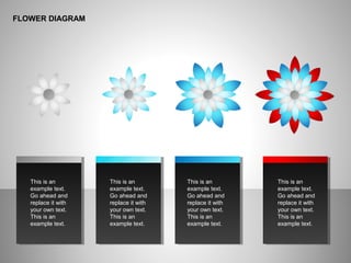 Flower Stages Diagram for PowerPoint | PPT