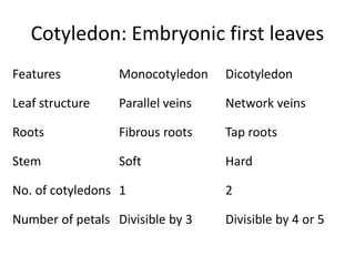 Flower Dissection.ppt