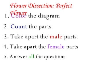 Flowerdissectionlab | PPT