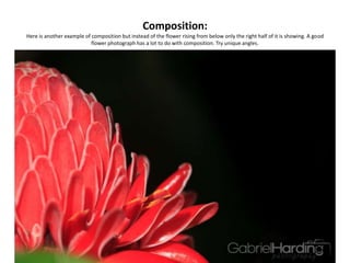 10 Flower Photography Tips and Tricks | PPTX