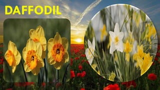 Flower Identification for Preschoolers.pdf