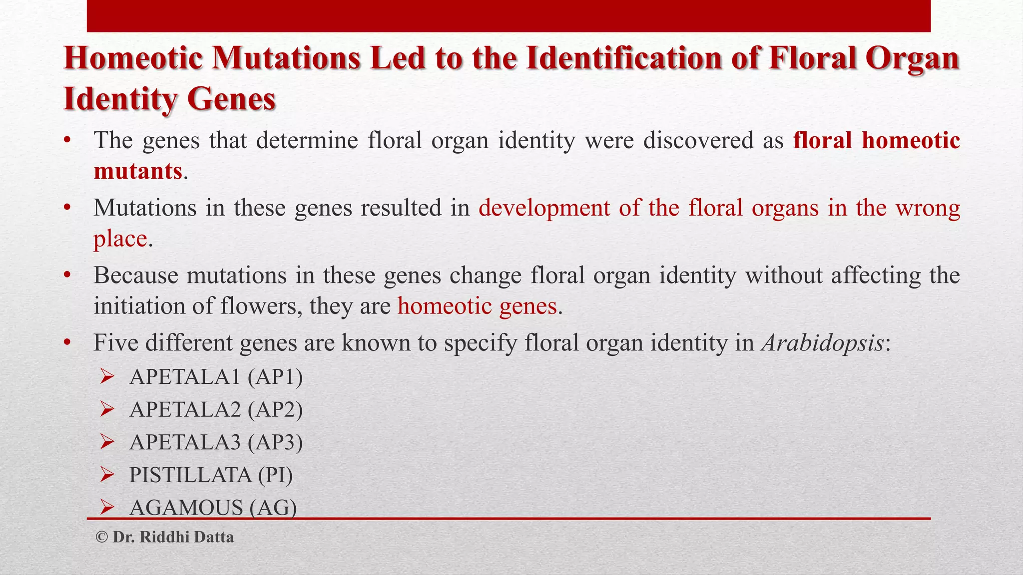 Regulation of Floral Development | PDF
