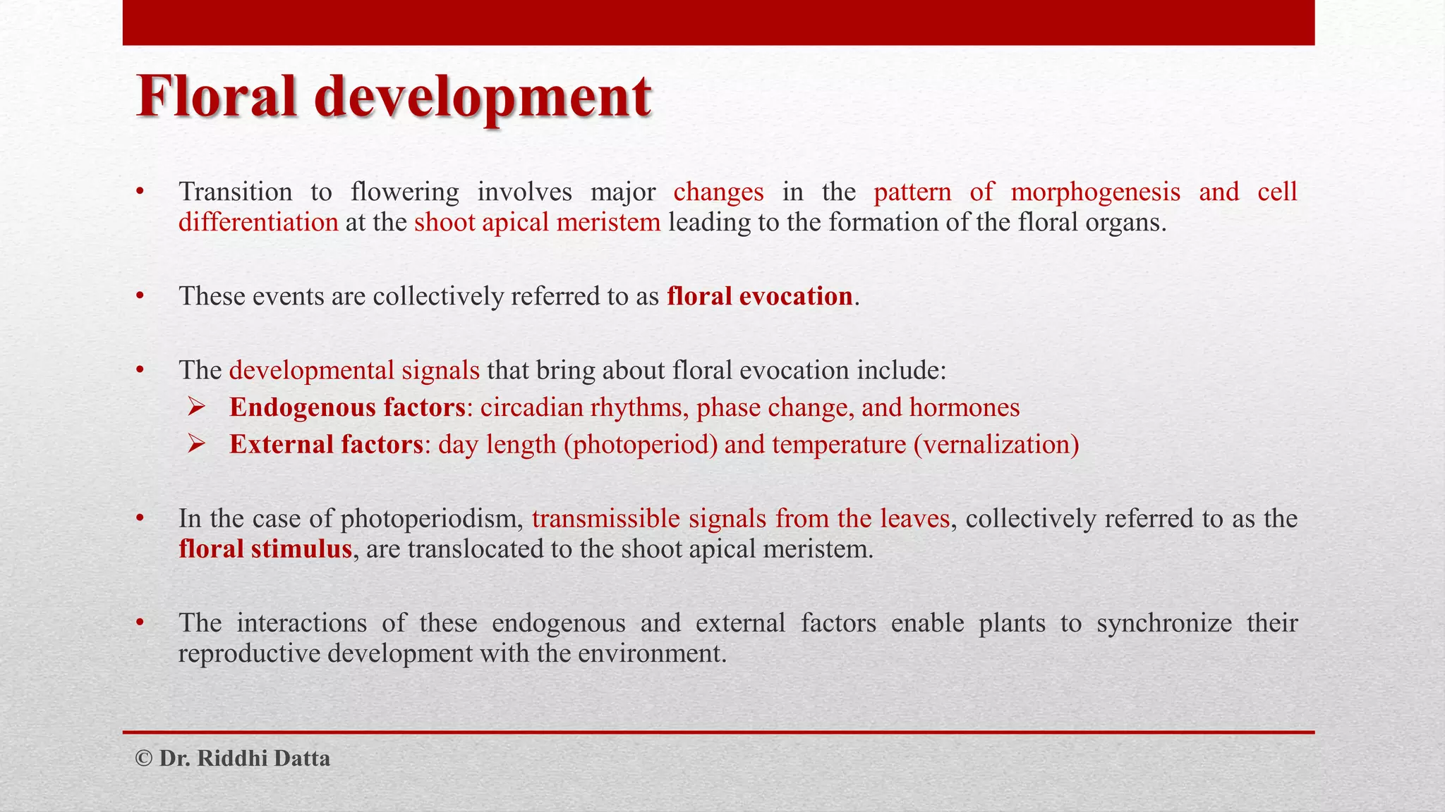 Regulation of Floral Development | PDF