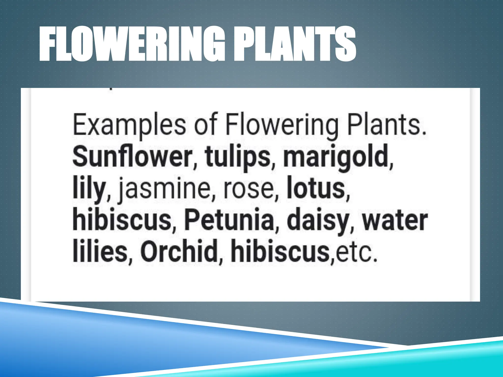 FLOWERING AND NON-FLOWERING PLANTS.pptxFLOWERING AND NON-FLOWERING ...