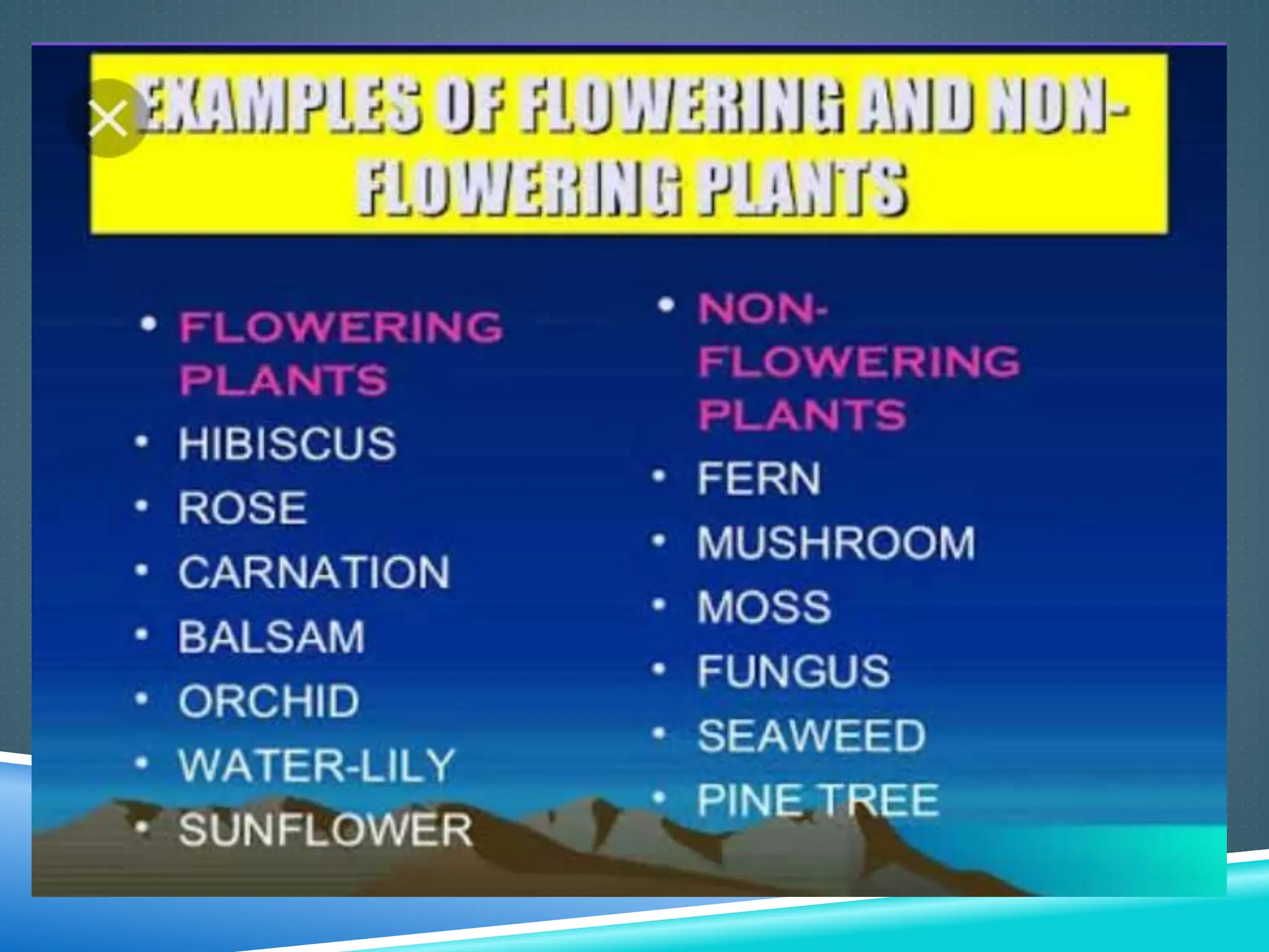 FLOWERING AND NON-FLOWERING PLANTS.pptxFLOWERING AND NON-FLOWERING ...