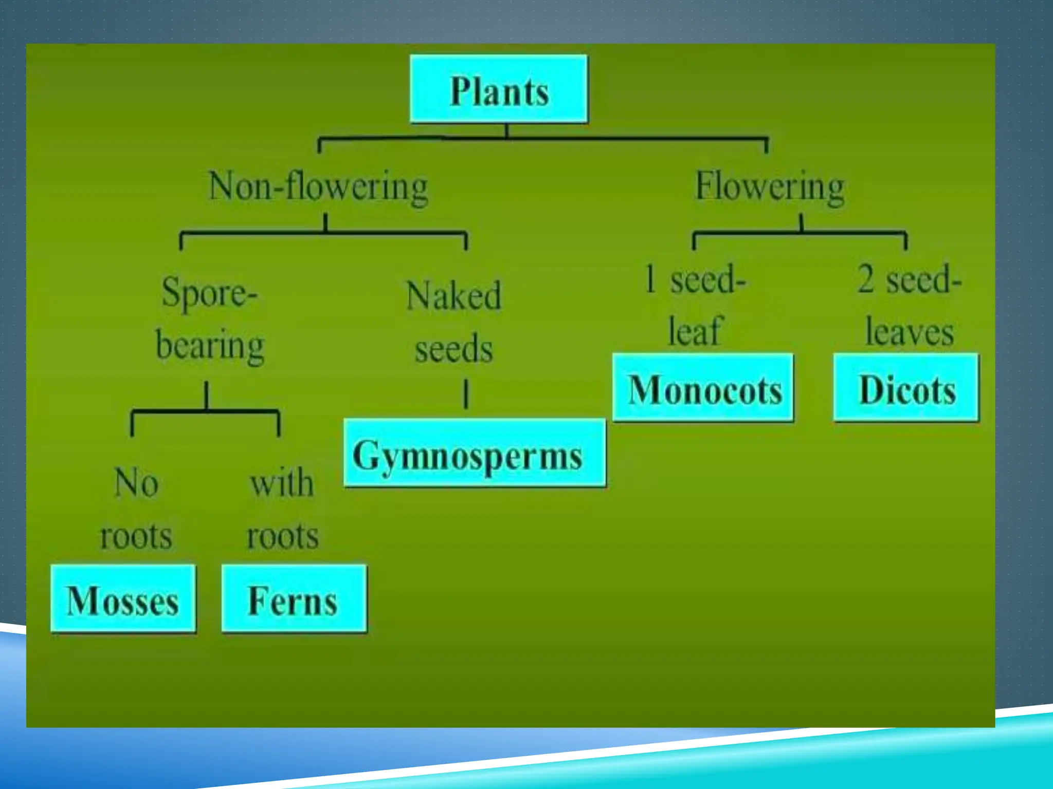 FLOWERING AND NON-FLOWERING PLANTS.pptxFLOWERING AND NON-FLOWERING ...