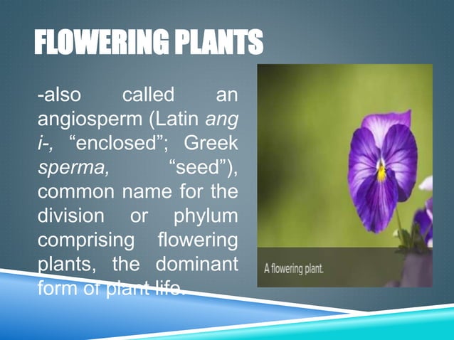 FLOWERING AND NON-FLOWERING PLANTS.pptxFLOWERING AND NON-FLOWERING ...