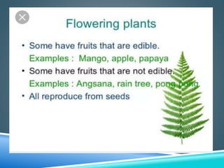 FLOWERING AND NON-FLOWERING PLANTS.pptxFLOWERING AND NON-FLOWERING ...