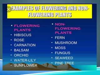 FLOWERING AND NON-FLOWERING PLANTS.pptxFLOWERING AND NON-FLOWERING ...