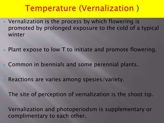 Flowering physiology 3 | PPT