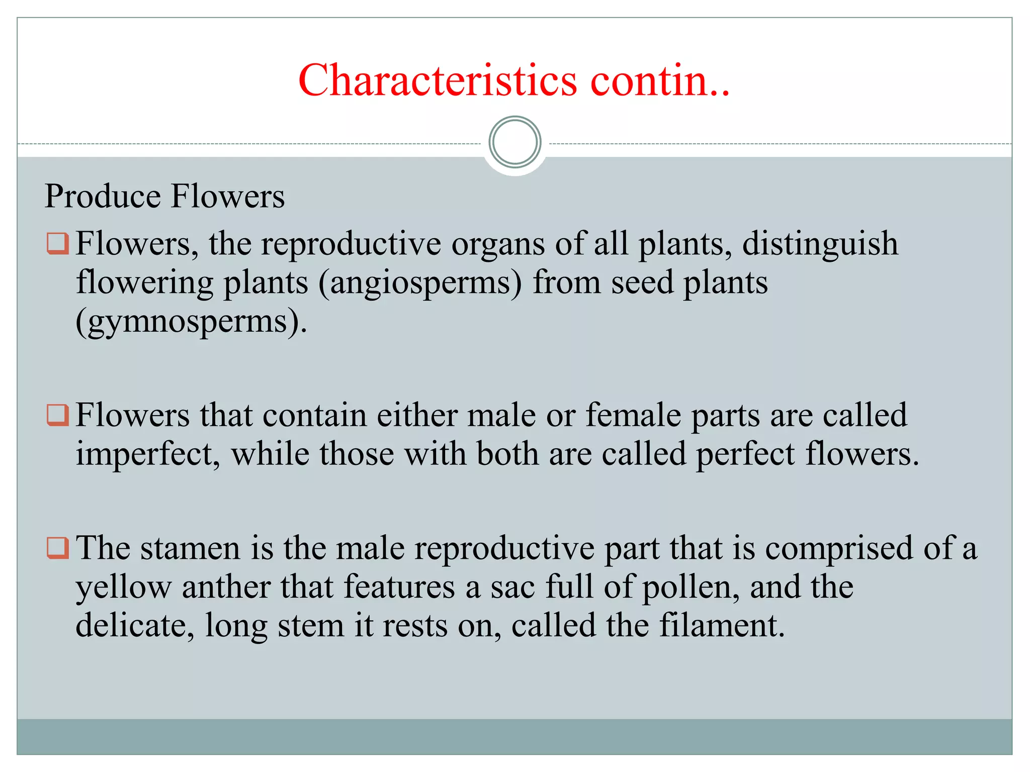 Flowering plants | PPTX
