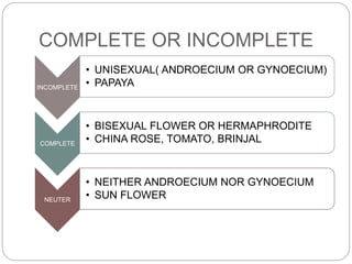 Flowering plants | PPTX