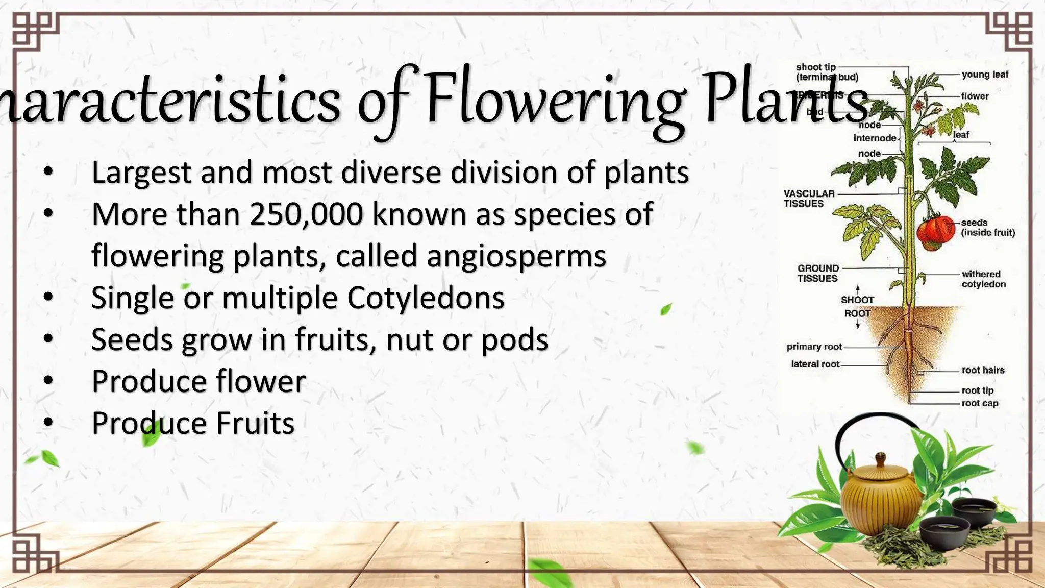 Flowering Plants.pptx