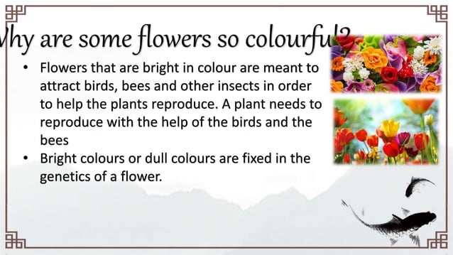 Flowering Plants.pptx