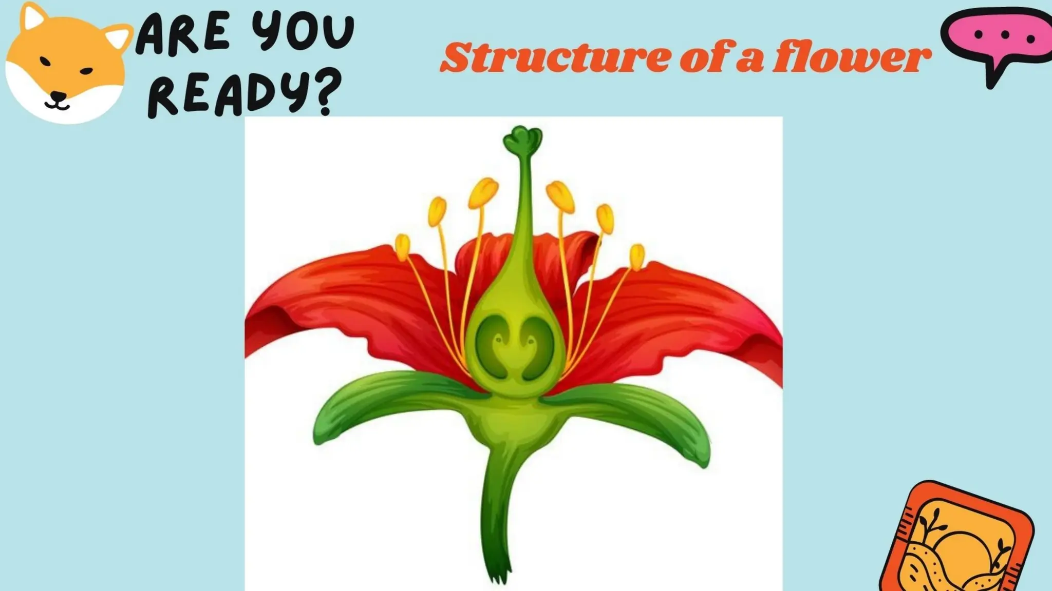 Flowering Plants SCIENCE GRADE 5 class unit1 | PPTX