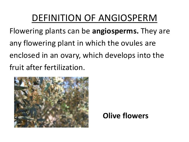 Flowering plants (1)