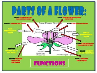 Flowering plants reproduction | PPT
