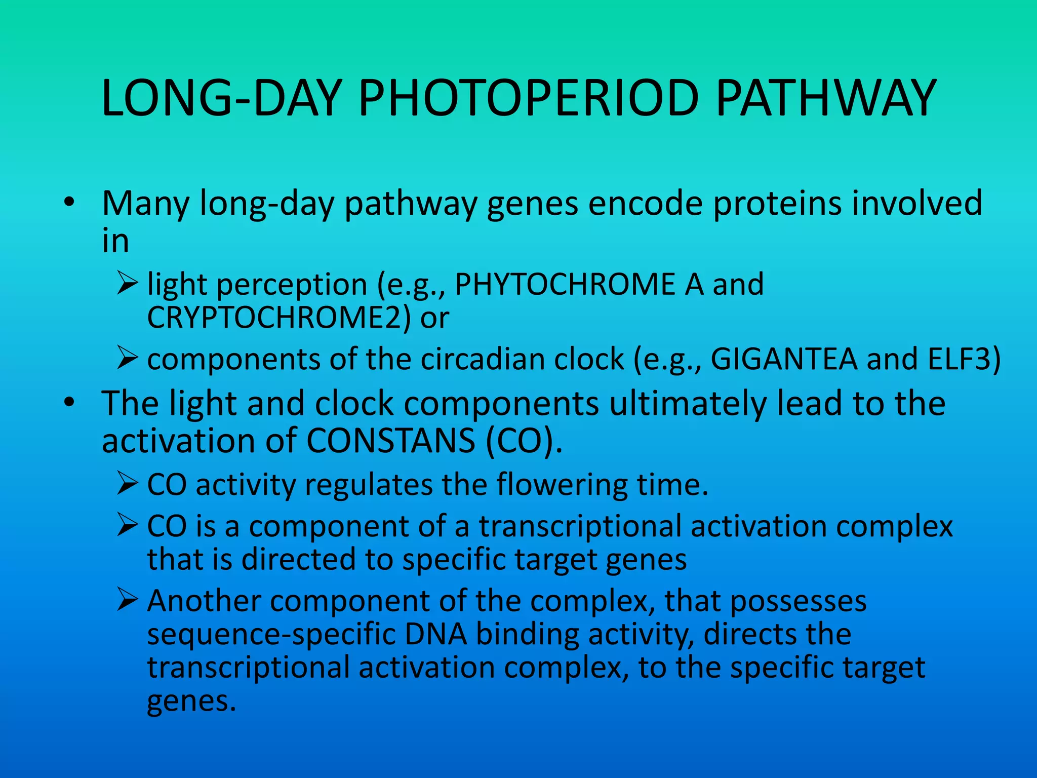 Flowering process | PDF