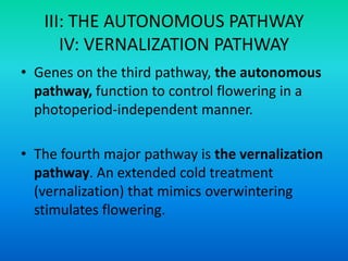 Flowering process | PDF