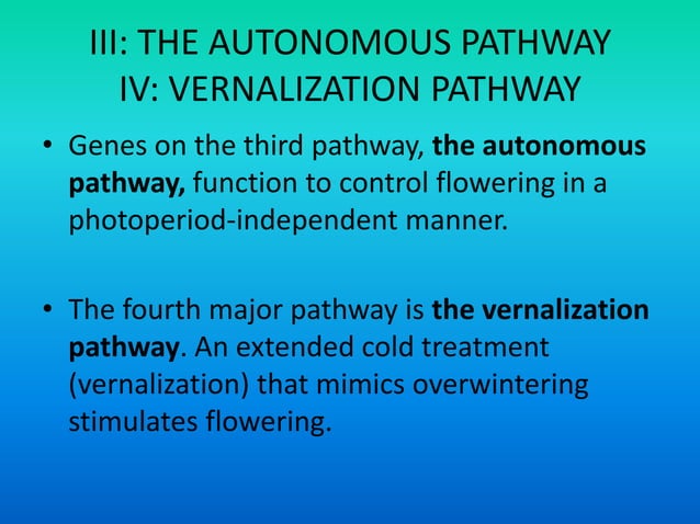 Flowering process | PDF | Gardening | Home & Garden
