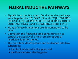 Flowering process | PDF