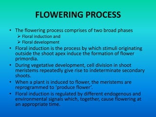 Flowering process | PDF