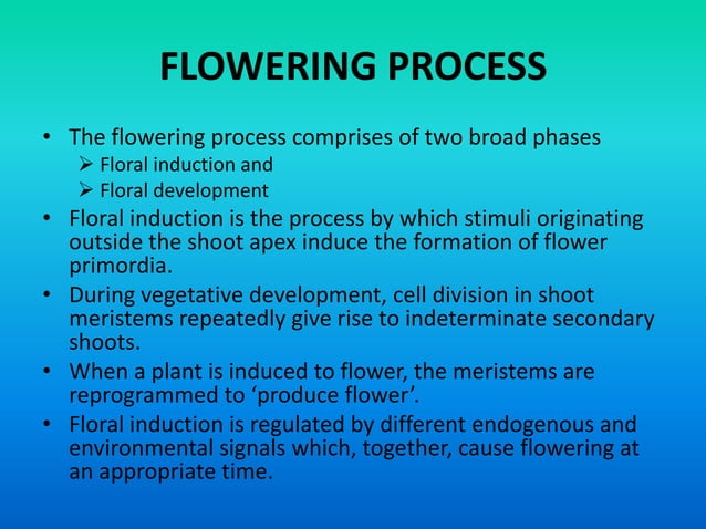 Flowering process | PDF | Gardening | Home & Garden