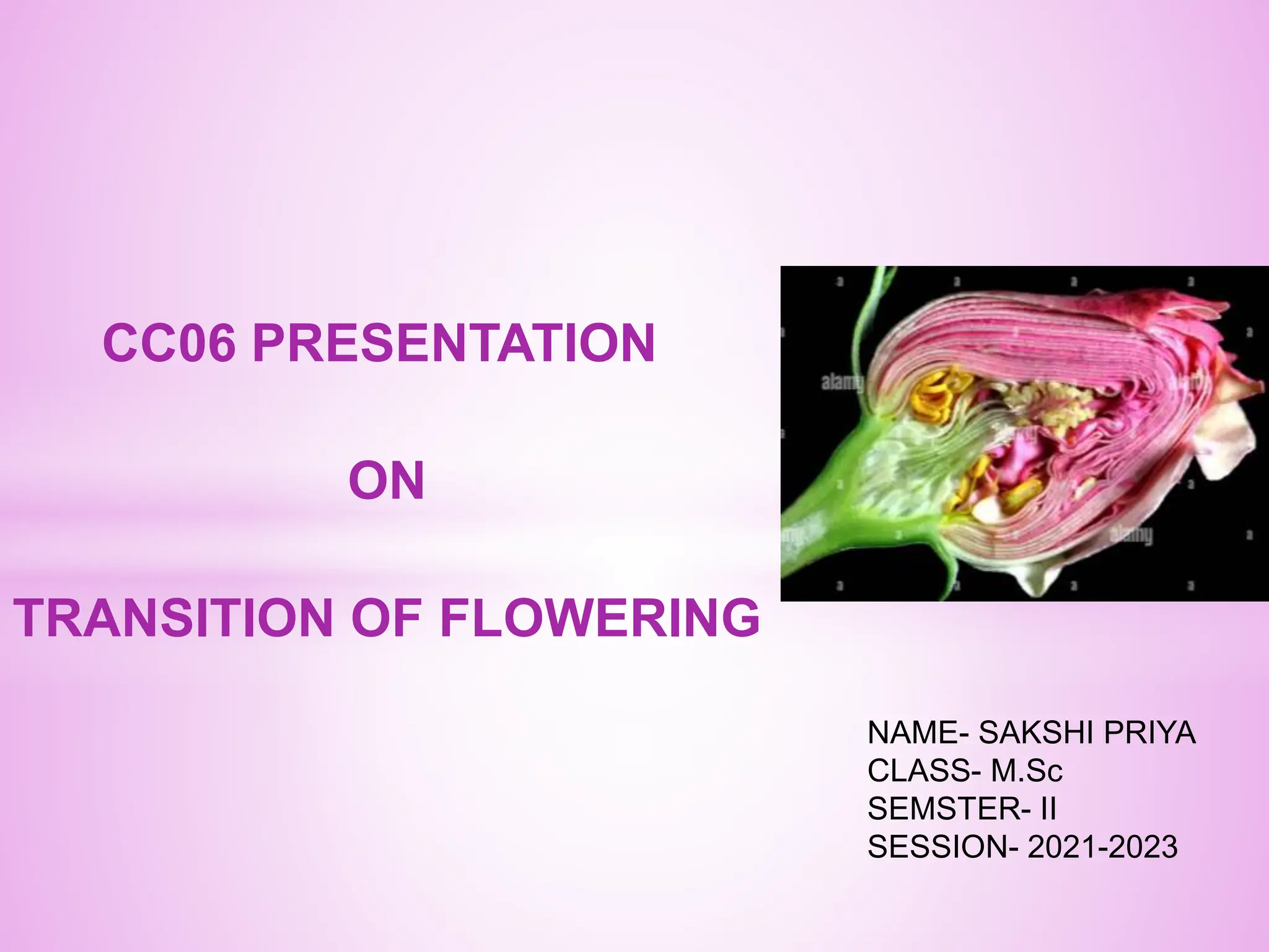 FLOWERING PROCESS- A TRANSITION FROM VEGETATIVE TO REPRODUCTIVE ORGAN.pptx