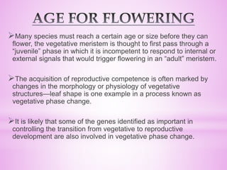 FLOWERING PROCESS- A TRANSITION FROM VEGETATIVE TO REPRODUCTIVE ORGAN ...