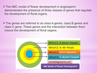 FLOWERING PROCESS- A TRANSITION FROM VEGETATIVE TO REPRODUCTIVE ORGAN ...