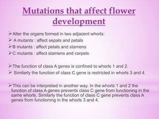 FLOWERING PROCESS- A TRANSITION FROM VEGETATIVE TO REPRODUCTIVE ORGAN ...