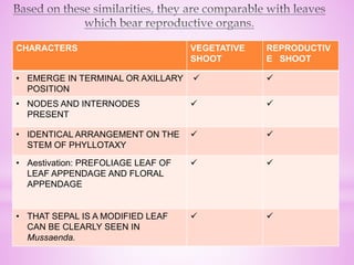 FLOWERING PROCESS- A TRANSITION FROM VEGETATIVE TO REPRODUCTIVE ORGAN.pptx